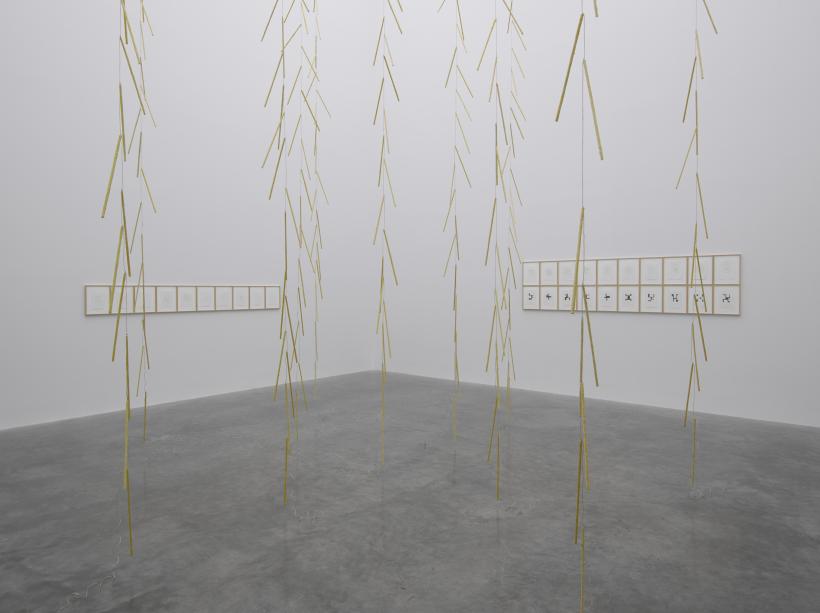 white cube invigilator